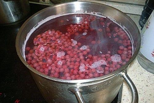 Red currant compote for the winter - recipes with the addition of ...