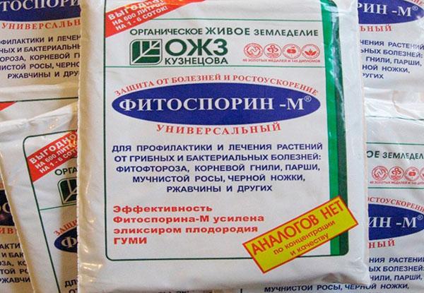 Fitosporin M - instructions for use, shelf life, video