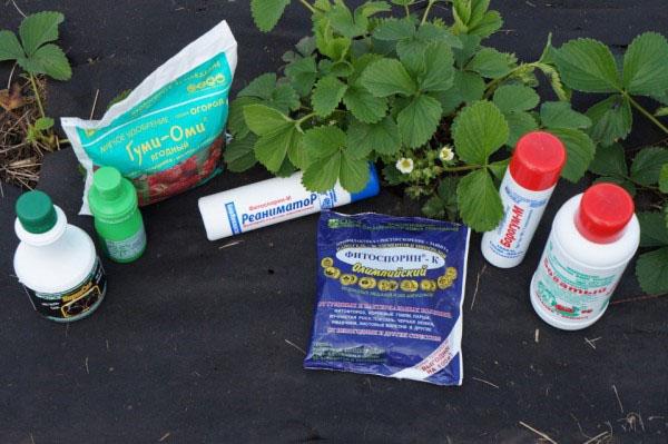 Fitosporin M - instructions for use, shelf life, video