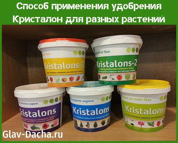 Método de uso del fertilizante Kristalon, instrucciones, video.