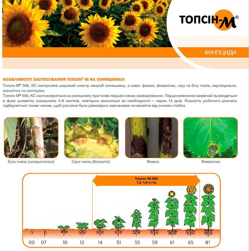 Fungicide Topsin M - instructions for use for different plants